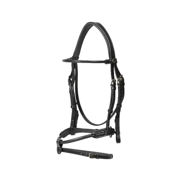 Dyon | selleriebonhommehannut